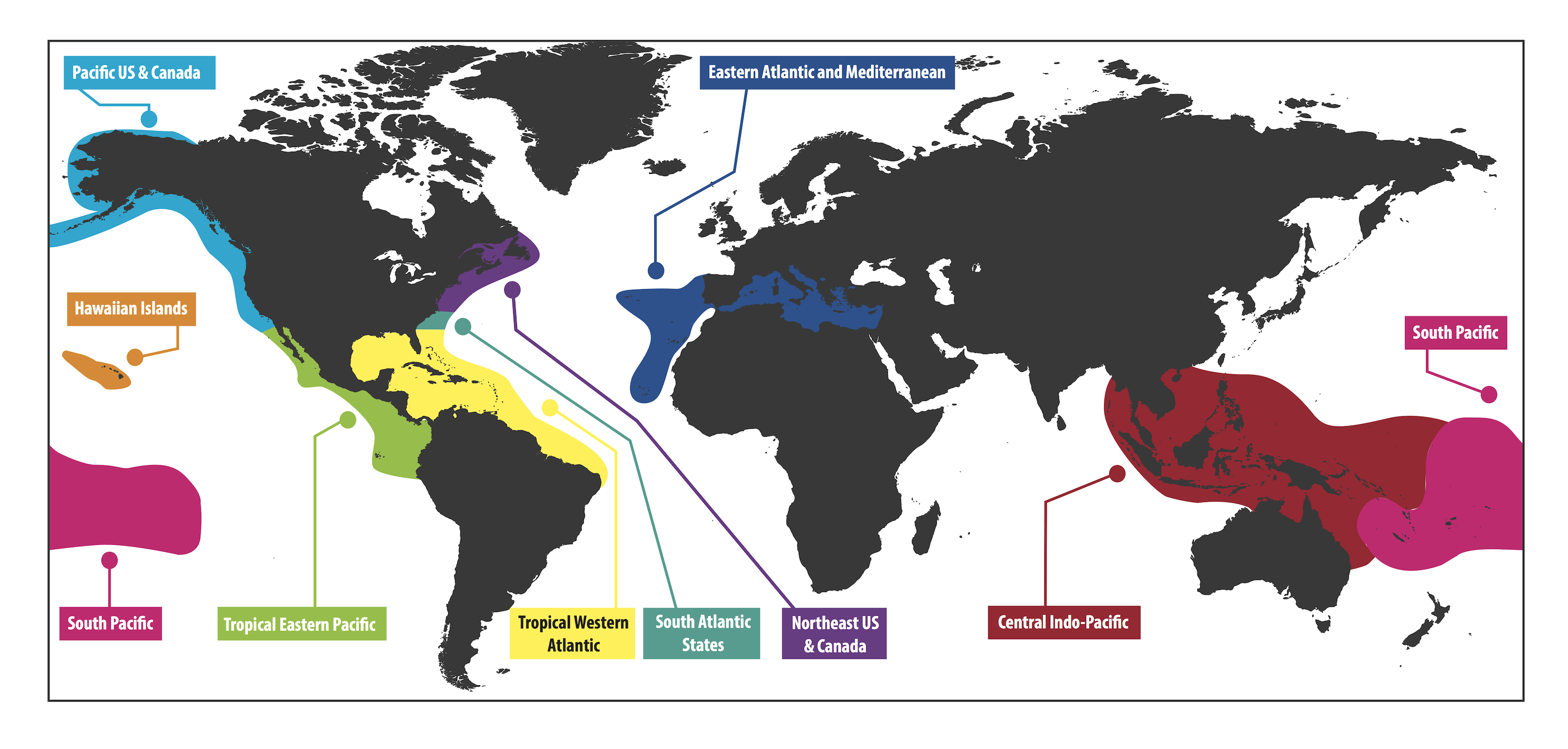 Making It Count - July 2016 | Reef Environmental Education Foundation ...