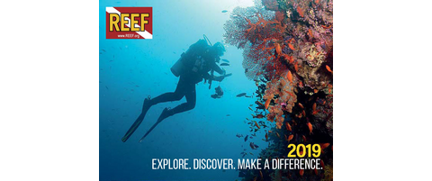 Don't Forget to Buy Your 2019 REEF Calendar! | Reef Environmental ...