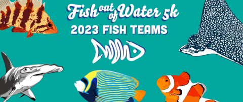 Reef Environmental Education Foundation | Conserving Oceans Through ...