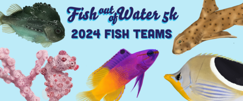 2024 REEF Fish Out of Water 5K: Which Fish Team will you choose? | Reef ...