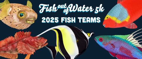 2025 Fish Teams | Reef Environmental Education Foundation