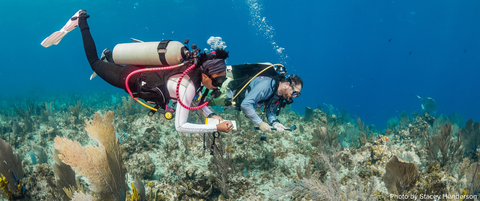 Reef Environmental Education Foundation | Conserving Oceans Through ...