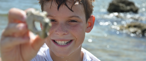 Ocean Explorers Virtual Field Trips | Reef Environmental Education ...