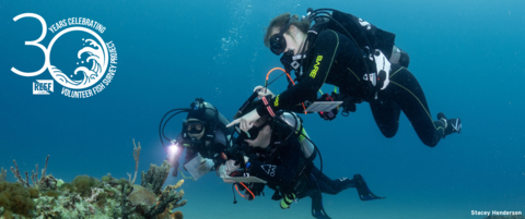 Reef Environmental Education Foundation | Conserving Oceans Through ...