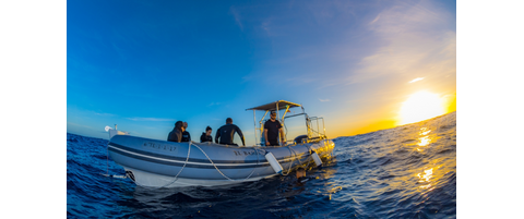 Canary Island Field Survey Trip | Reef Environmental Education Foundation