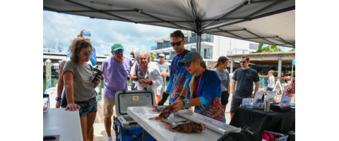 It's Time for the Florida Keys Lionfish Derby & Festival! | Reef ...