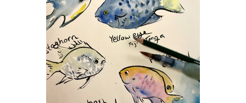 Drawing Florida Keys Fish for Fun Workshop | Reef Environmental ...