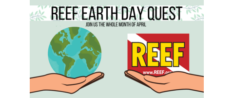 REEF Earth Day Quest | Reef Environmental Education Foundation