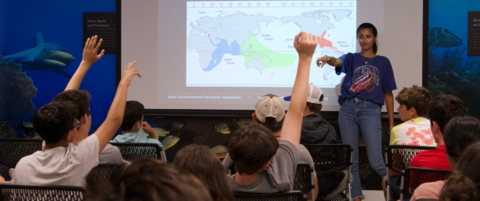 REEF Educator Resources | Reef Environmental Education Foundation