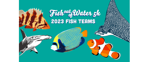 REEF Fish Out of Water 5K: Introducing the 2023 Fish Teams! | Reef ...