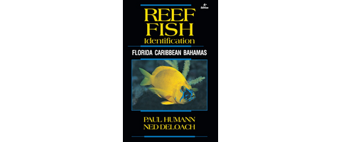 4th Edition of Reef Fish ID Guidebook Released | Reef Environmental ...