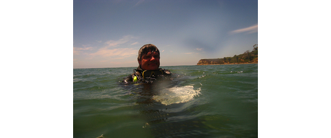 The Faces of REEF: Member Spotlight, Carl Gwinn | Reef Environmental ...