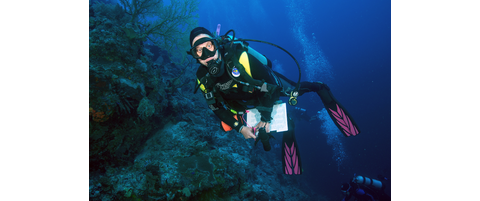 Citizen Science Corner: January - March 2024 Achievements | Reef ...