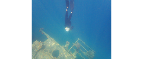 The Faces of REEF: Alison Stocker | Reef Environmental Education Foundation