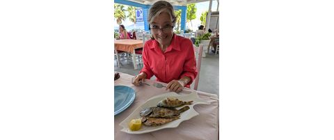 The Faces of REEF: Alison Stocker | Reef Environmental Education Foundation