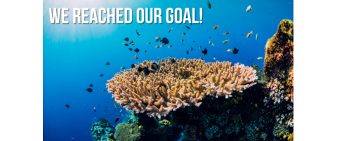 Thank You REEF Members! | Reef Environmental Education Foundation