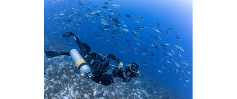 Report from the Field: Capping Off a Successful 2023 Grouper Moon ...