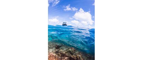 The Faces of REEF: Byron Bishop | Reef Environmental Education Foundation