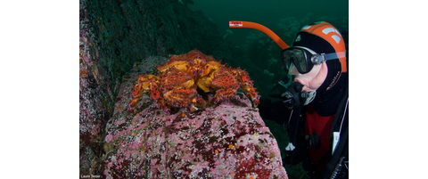 The Faces of REEF: Don McCoy | Reef Environmental Education Foundation