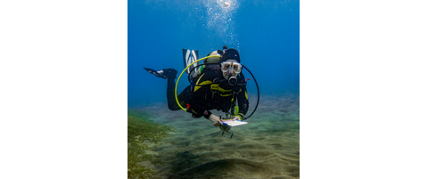 The Faces of REEF: Ellie and Mel Briscoe | Reef Environmental Education ...