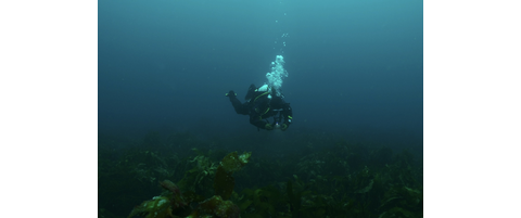 Conservation Partner Preview: Eugene Skin Divers Supply | Reef ...