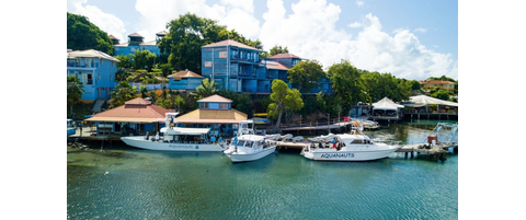 Upcoming REEF Trips: Grenada, Galapagos, Utila, and more | Reef ...