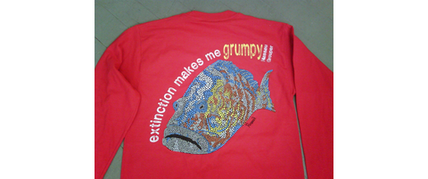 Artist Rogest Celebrates Grouper Moon Project With New Artwork | Reef ...