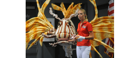 Lionfish Resources | Reef Environmental Education Foundation