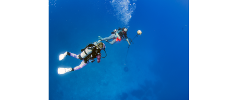 REEF Conservation Science Team Concludes Testing for Deep Water ...