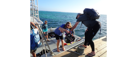 Grouper Moon 2024 - Conservation Success in the Cayman Islands ...