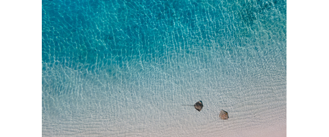 Announcing the 2024 Discover the Sea Photography Contest Winners | Reef ...