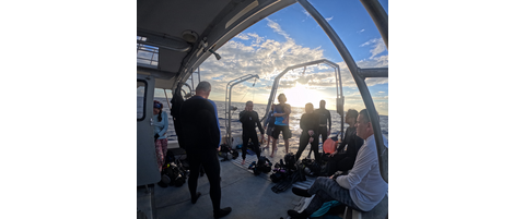 Report from the Field: Capping Off a Successful 2023 Grouper Moon ...