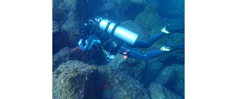 Collecting Clues: How REEF volunteers can help unmask hidden diversity ...