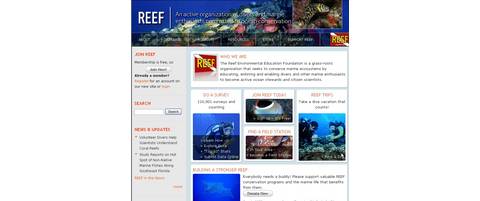 Announcing the Next Generation of REEF.org | Reef Environmental ...