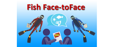 Fish Face-to-Face | Reef Environmental Education Foundation