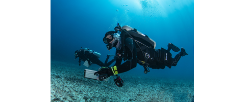 2020 REEF Underwater Photography Contest Winners | Reef Environmental ...