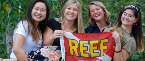REEF Marine Education & Conservation Internship Program | Reef ...