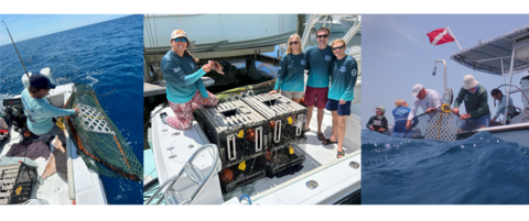 REEF Lionfish Trap Project | Reef Environmental Education Foundation