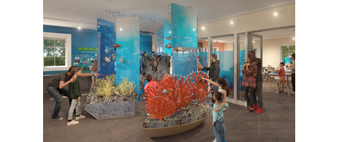 REEF Ocean Exploration Center for Marine Conservation | Reef ...