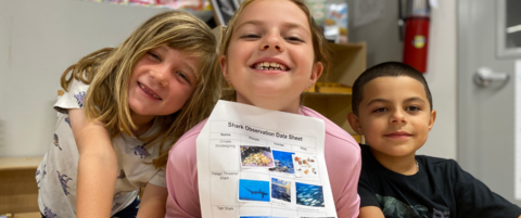 REEF Ocean Explorers Education Programs | Reef Environmental Education ...