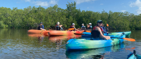 REEF Discovery Programs - In Person and Virtual | Reef Environmental ...