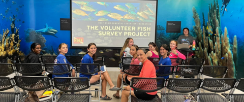 Ocean Explorers Expeditions | Reef Environmental Education Foundation