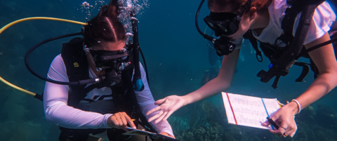 Ocean Explorers Expeditions | Reef Environmental Education Foundation