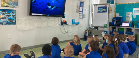 Ocean Explorers Virtual Field Trips | Reef Environmental Education ...