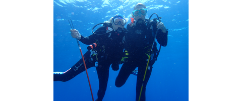 REEF Field Survey Trips | Reef Environmental Education Foundation