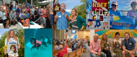 Reef Environmental Education Foundation | Conserving Oceans Through ...