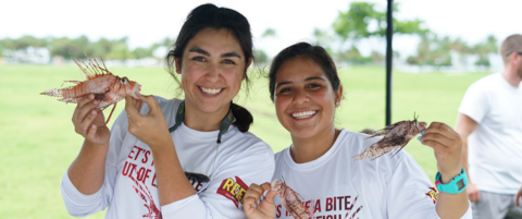 REEF Marine Education & Conservation Internship Description | Reef ...