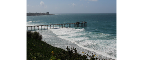 REEF by the Sea California | Reef Environmental Education Foundation