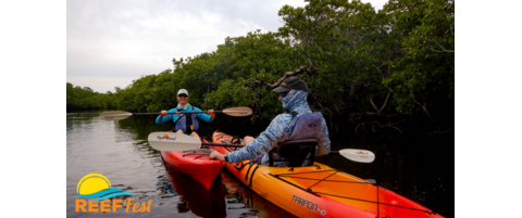 Snorkel, Dive or Kayak at REEF Fest 2021! | Reef Environmental ...