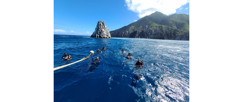 Saba Field Survey Trip | Reef Environmental Education Foundation